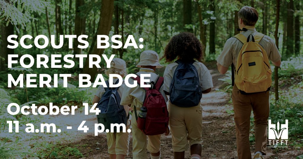 SCOUTS BSA: FORESTRY MERIT BADGE - Born Buffalo