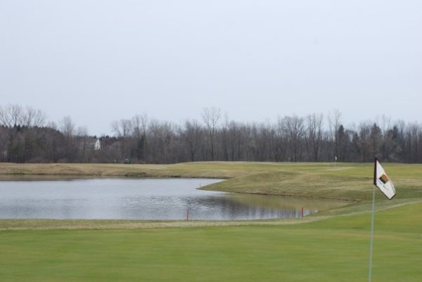 Harvest Hill Golf Course - Born Buffalo