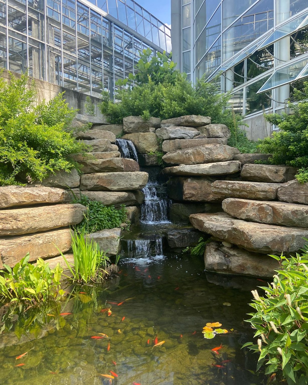 Buffalo and Erie County Botanical Gardens - Born Buffalo