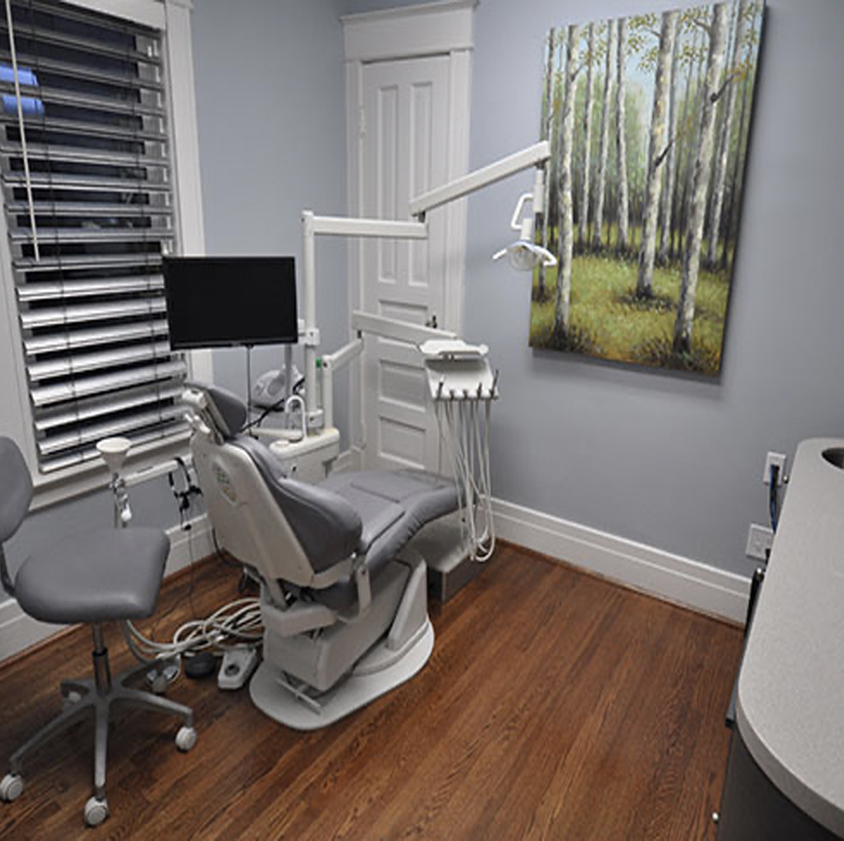 Emily J. Schaefer, DDS - Born Buffalo