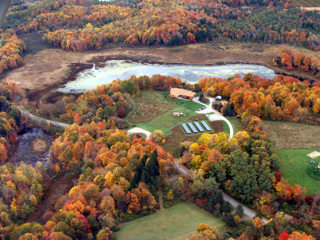 Beaver Meadow Nature Center - Born Buffalo