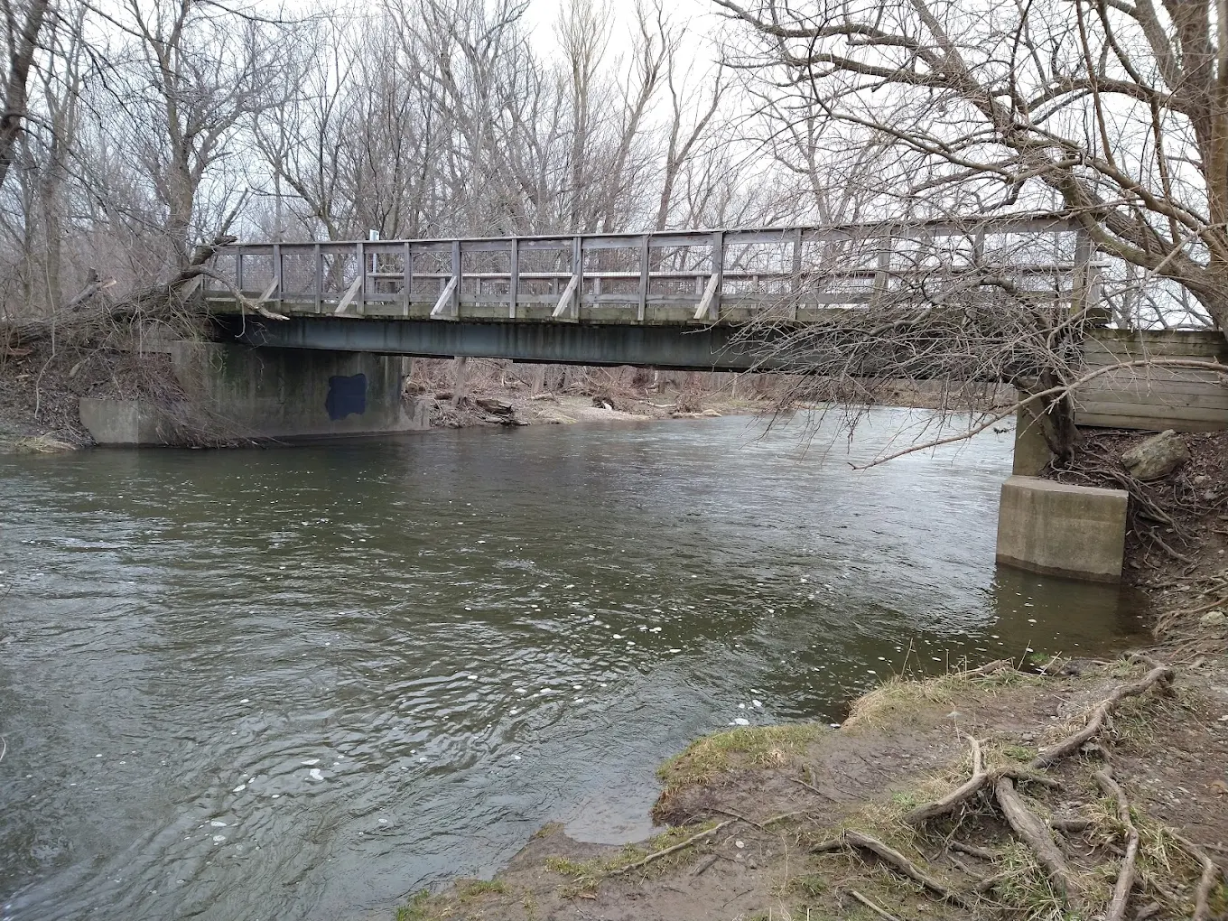 Amherst State Park - Born Buffalo